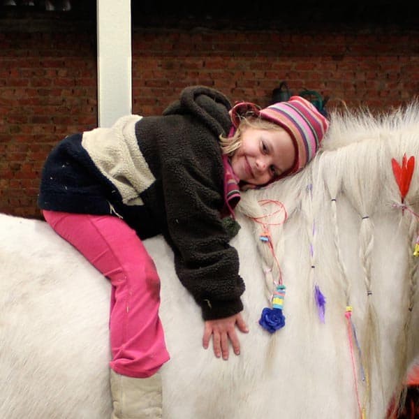 Equi Source - Therapie, teambuilding en coaching met paarden ...